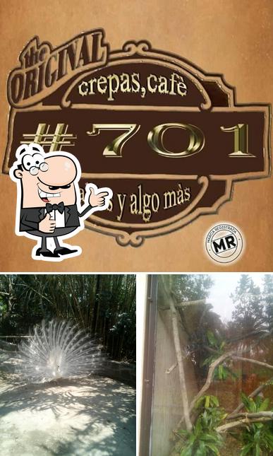 Cafeteria #701, Mexico - Restaurant reviews