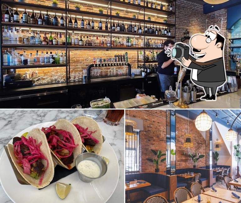 Starling Restaurant and Bar in Ottawa - Restaurant menu and reviews