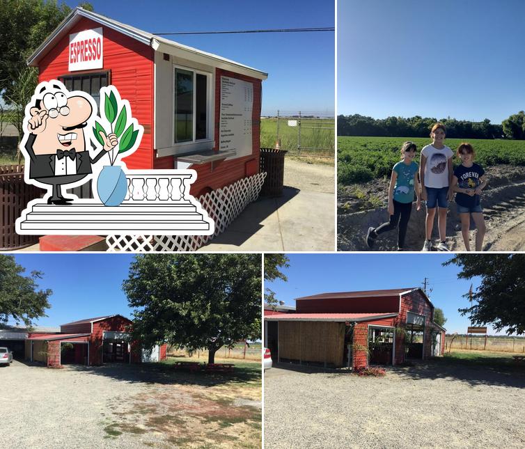 K.T. Farm And Produce, Drive Thru Coffee in Nicolaus - Restaurant reviews