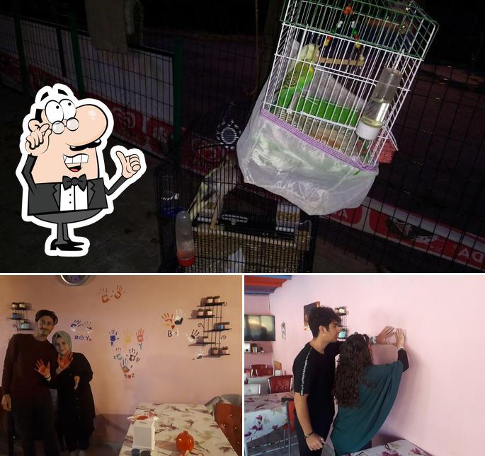 Kardeşler PlayStation Cafe, Amasya - Restaurant reviews