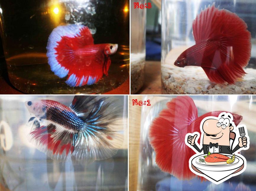 Fire Fish, Pangkah