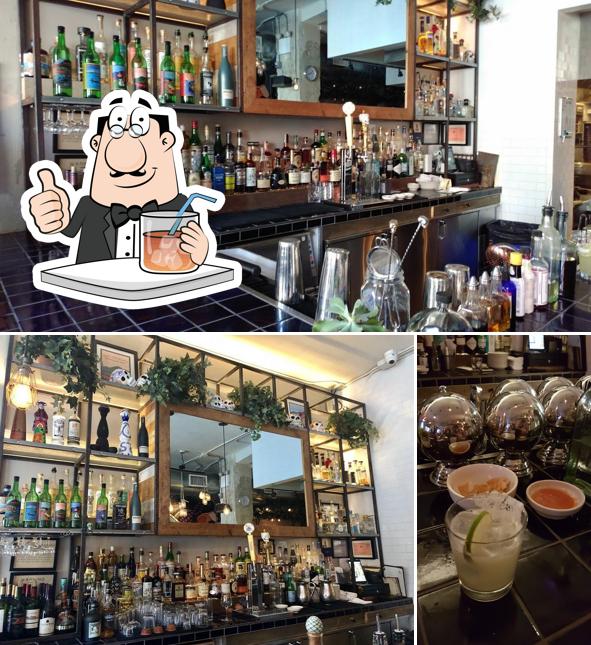 Oso in New York City - Restaurant menu and reviews