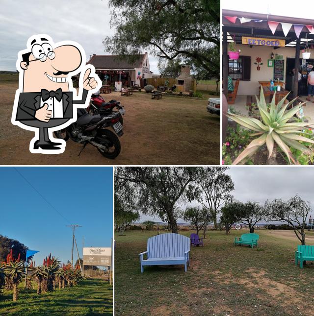 Oppiplaas padstal cafe, Riversdale - Restaurant reviews