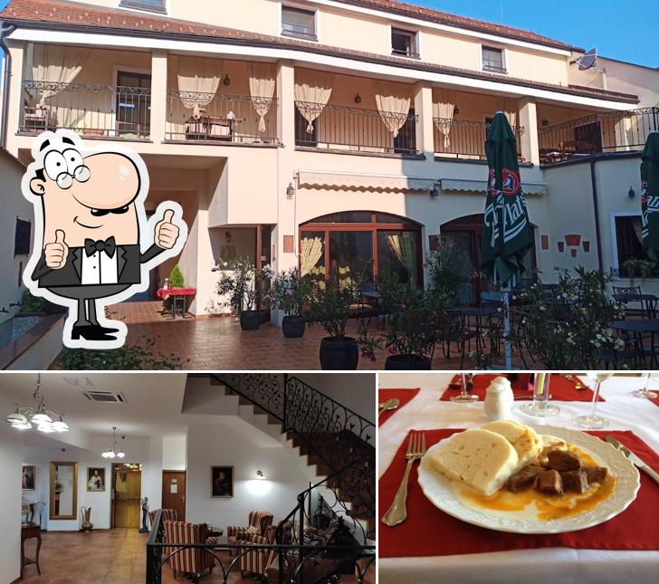 Hotel Sebastian u Hoffera restaurant, Modra - Restaurant reviews