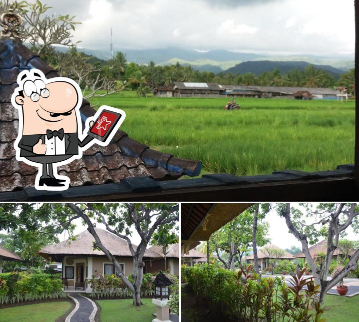 Warung Padi Bali restaurant, Munduk - Restaurant reviews