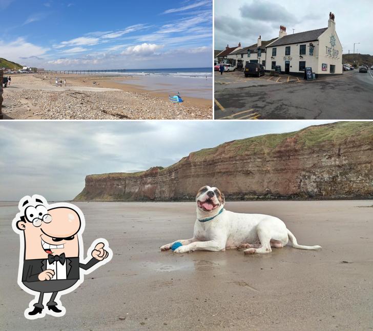 The Ship Inn, Saltburn-by-the-Sea - Restaurant menu, prices and reviews