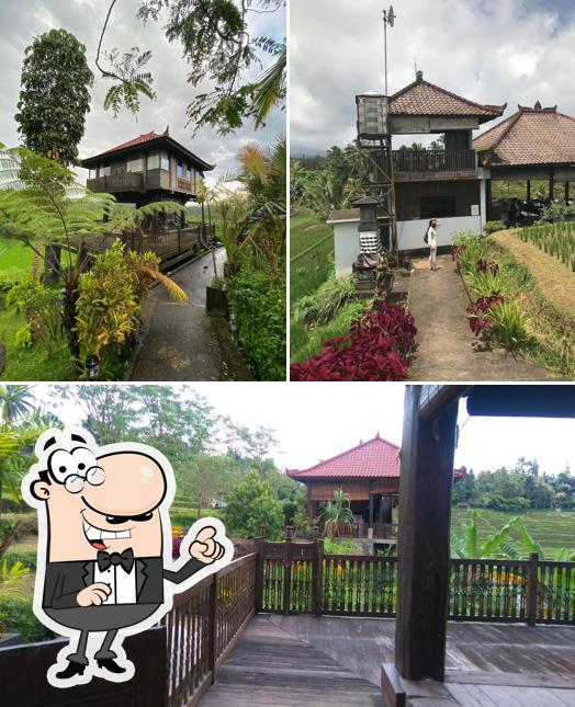 Warung Ravaya Arim And Villa Tengah Sawah restaurant, Indonesia ...