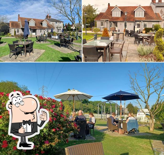 Hawk Battlesbridge Wickford in Wickford - Restaurant menu and reviews