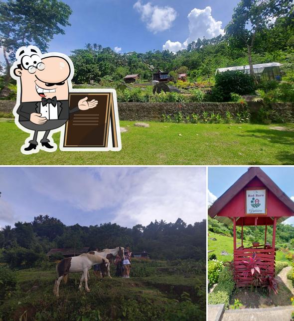 Rustic Ridge Resort (formerly The Red Barn At Lantawan), Silay City ...