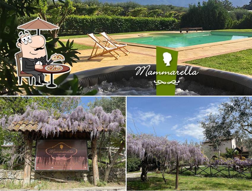 Mammarella, Altavilla Silentina - Restaurant menu, prices and reviews