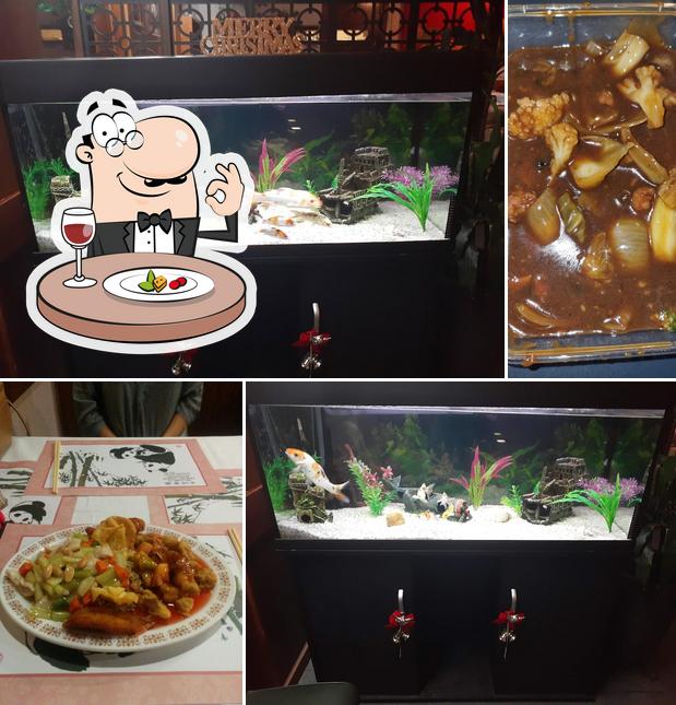 Kempsey Chinese Restaurant in Kempsey - Restaurant menu and reviews