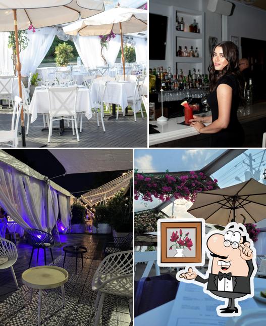 Elia Mediterranean Restaurant in East Rutherford - Restaurant menu and ...