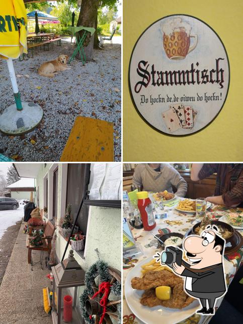 Gasthaus zur Linde restaurant, Austria, Thalham 2 - Restaurant reviews