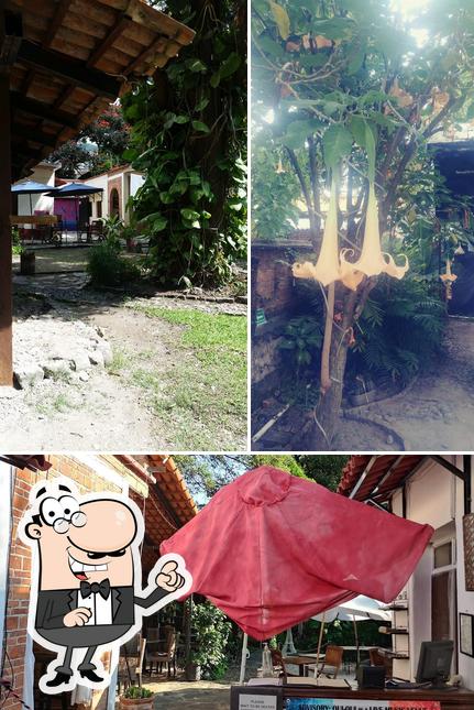Oui Oui Restaurant Français, Ajijic - Carta del restaurante y opiniones