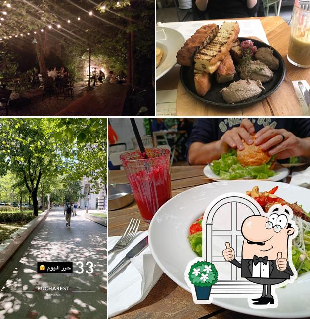 Simbio, Bucharest, Universitate - Restaurant menu, prices and reviews