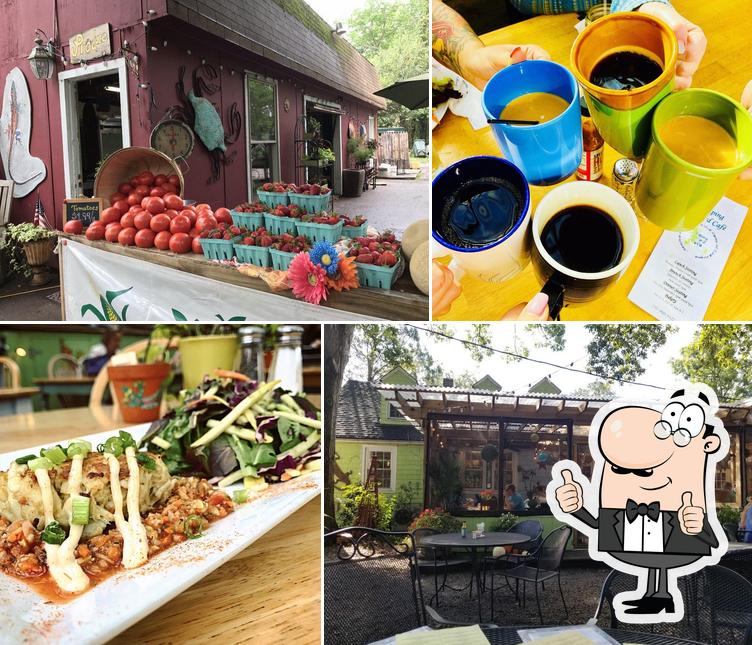 Leaping Lizard Cafe, Virginia Beach - Restaurant menu, prices and reviews