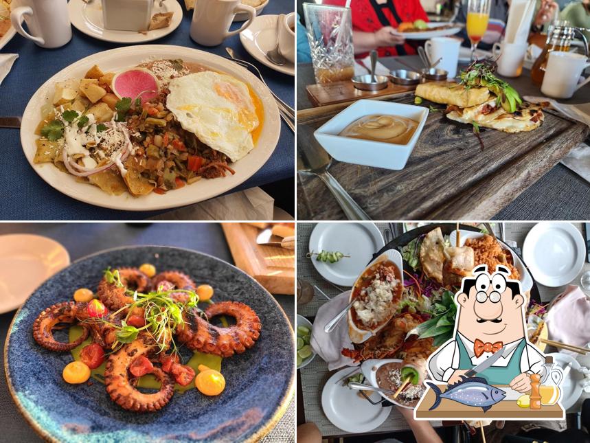 Popotla Restaurant & Bar, Rosarito - Menú del restaurante, precios y ...