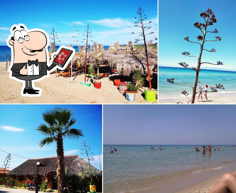 Rasta Beach Bar, Nea Propontida - Restaurant reviews
