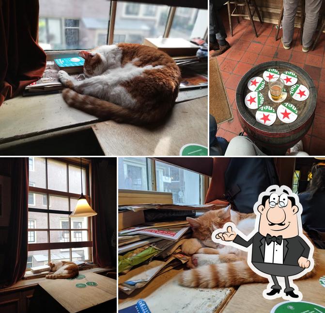 Top 7 restaurants with kids play area in Amsterdam, october 2025 ...