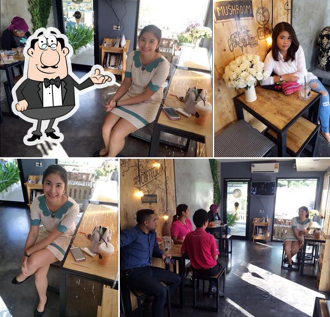 Mushroom Cafe &Coffee Amphoe Muang Chiang Mai, Chiang Mai - Restaurant ...
