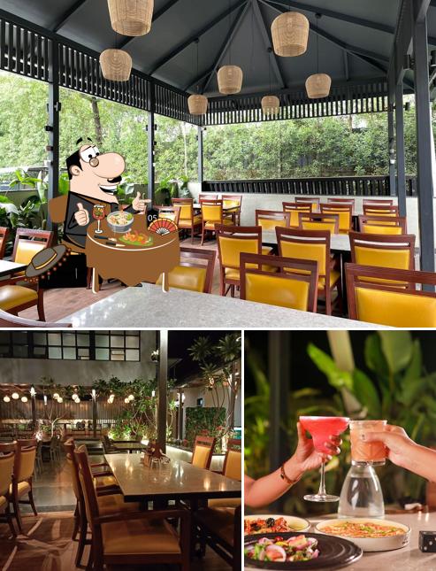 White Lotus: Food Vibe Folks, Pune - Restaurant menu, prices and reviews