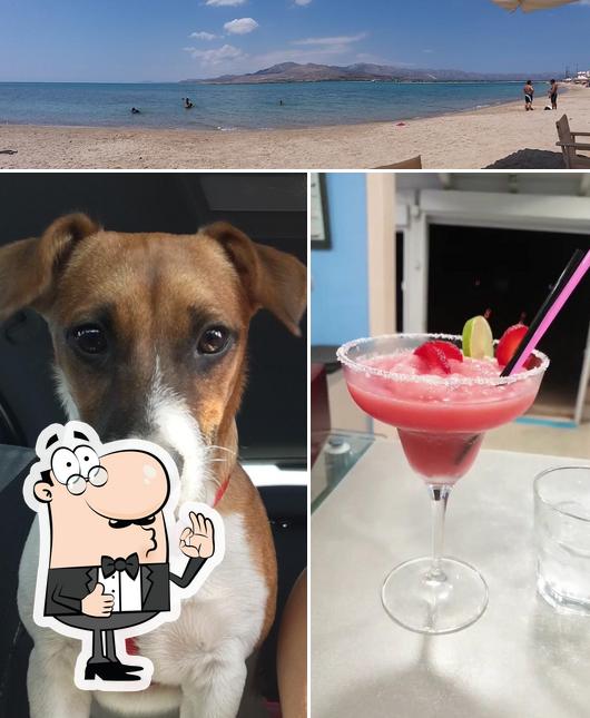 Thalassa Café Snack Bar, Elafonisos - Restaurant reviews