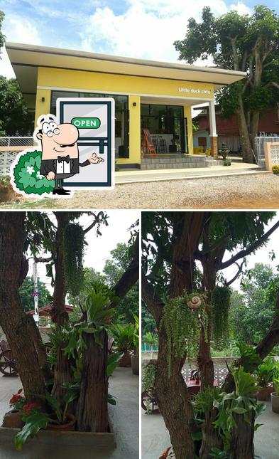 Little duck cafe', Pong Saen Thong - Restaurant reviews