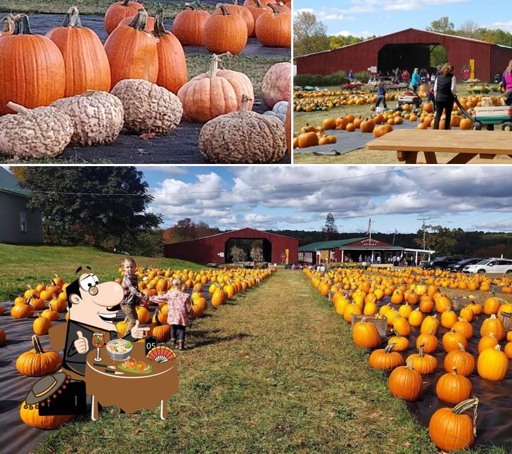 Rocky Ridge Orchard, Bowdoin - Restaurant menu, prices and reviews