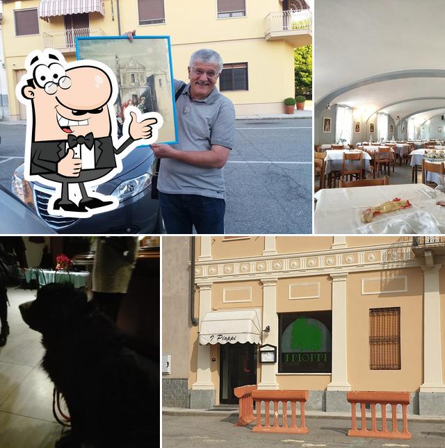 Ristorante I Pioppi, Frassineto Po - Restaurant reviews