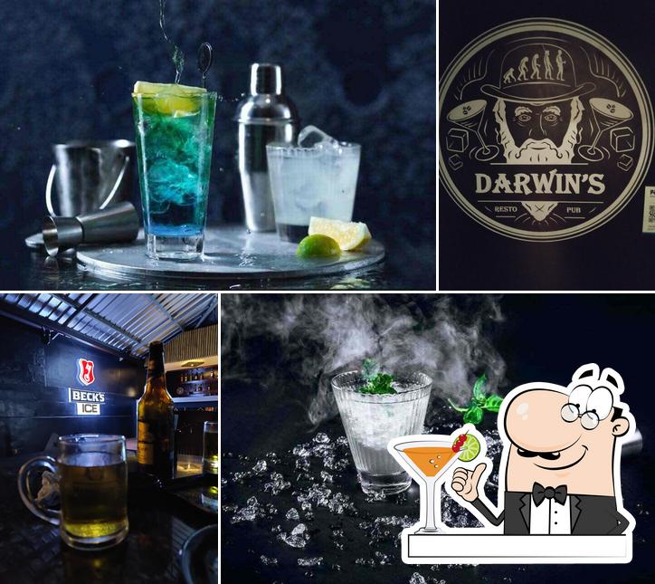 Darwin's Resto Pub, Puducherry - Restaurant menu, prices and reviews