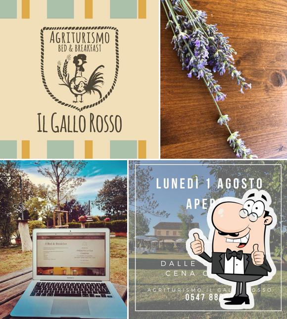 Il Gallo Rosso ristorante con griglia, Cesenatico - Recensioni del ...