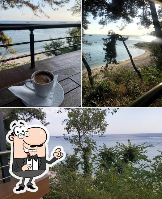 Defne Garden, Istanbul - Restaurant reviews
