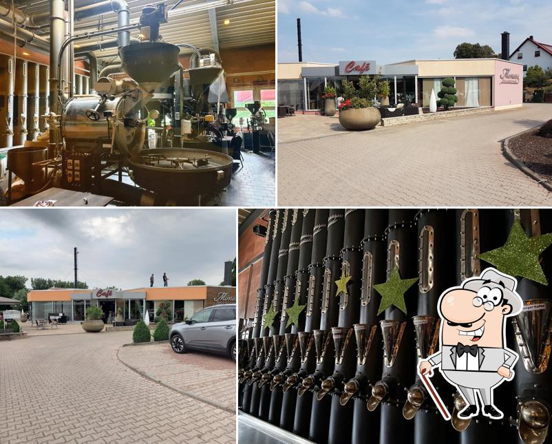 Kaffeerösterei Moness cafe, Balgstädt - Restaurant reviews