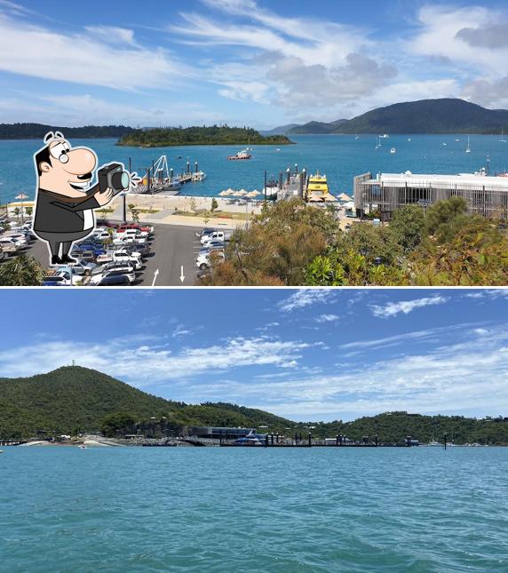 Shute Harbour Marine Terminal in Shute Harbour - Restaurant reviews