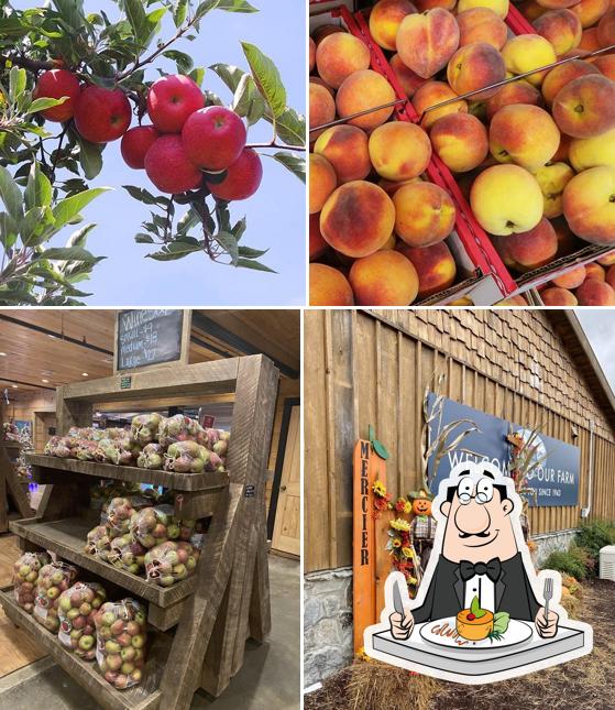Mercier Orchards, Blue Ridge - Restaurant menu, prices and reviews