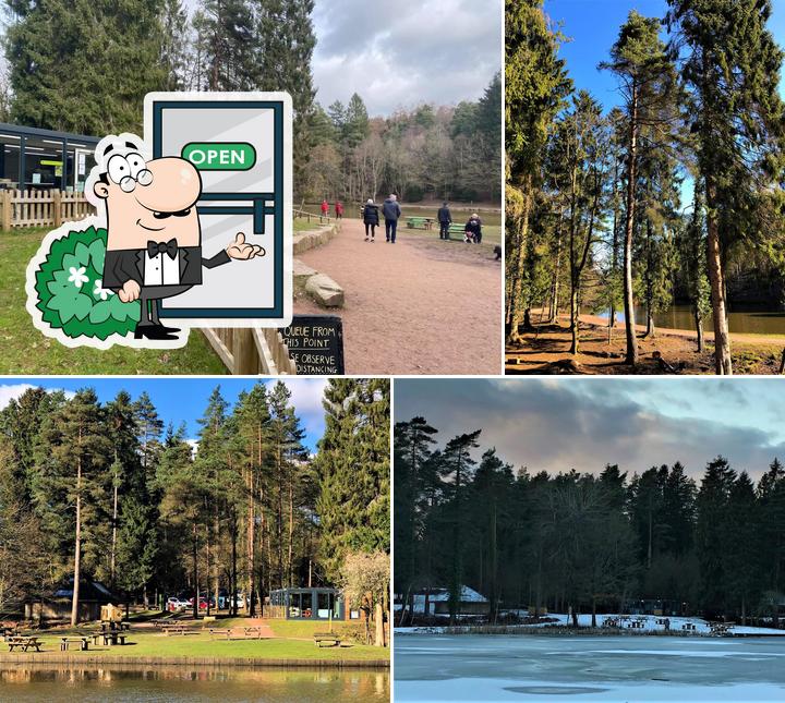 Mallards Cafe, Lydney - Restaurant menu, prices and reviews