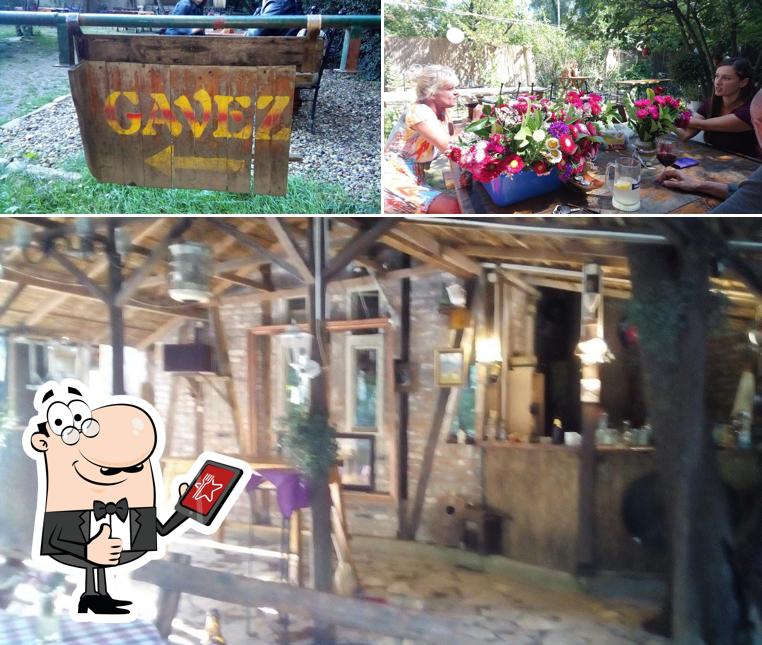 GAVEZ Club, Belgrade, Ада Циганлија-Камп Партизан - Restaurant reviews