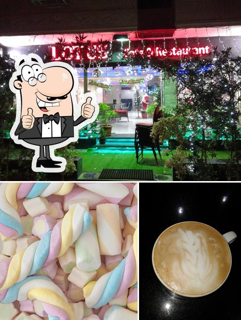 Lotus Cafe & Restaurant, Gizeh, 325، Hadayek Al Ahram ...