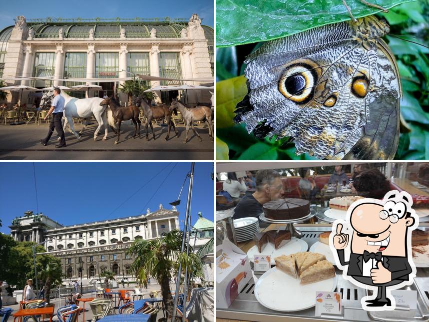 Brasserie Palmenhaus Wien, Vienna - Restaurant menu, prices and reviews