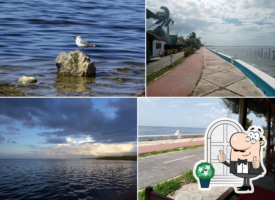 Restaurante El pargo, Campeche - Opiniones del restaurante