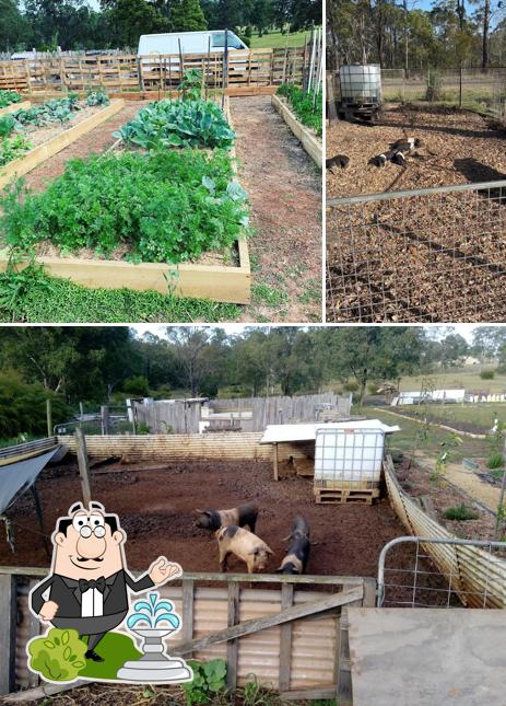 The Davis Farm in Sancrox - Restaurant reviews