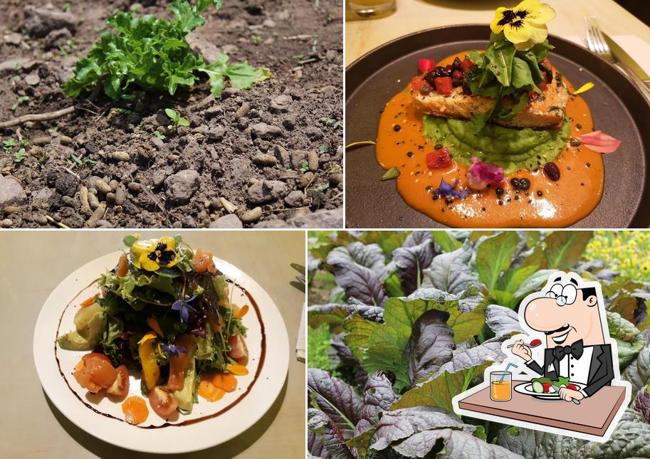 All places to eat and drink in Cusco, winter 2023 - Restaurant Guru