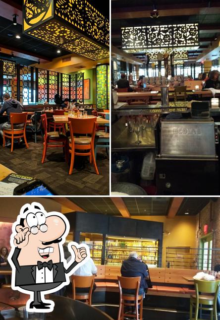 Cactus Bellevue Square in Bellevue - Restaurant menu and reviews