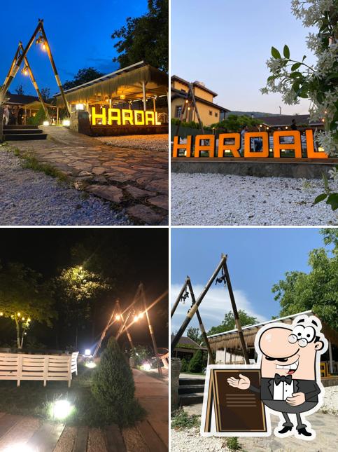 Hardal Burger Kırkpınar, Sapanca - Menú del restaurante, precios y reseñas