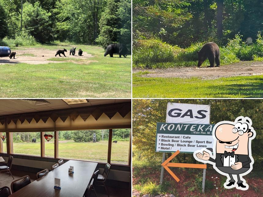 Top 3 restaurants with fish in White Pine, Michigan, october 2025 ...