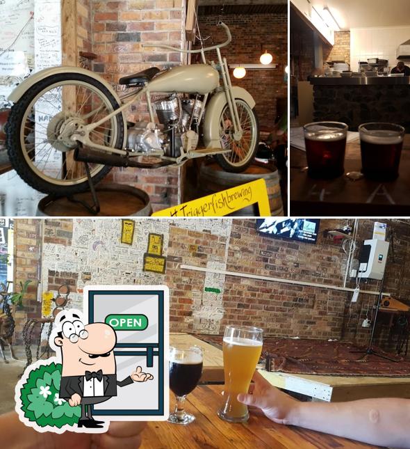 Triggerfish Brewing restaurant, Cape Town - Restaurant menu and reviews
