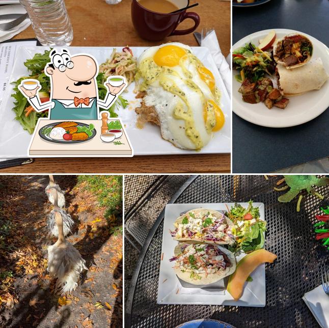 Leaping Lizard Cafe, Virginia Beach - Restaurant menu, prices and reviews