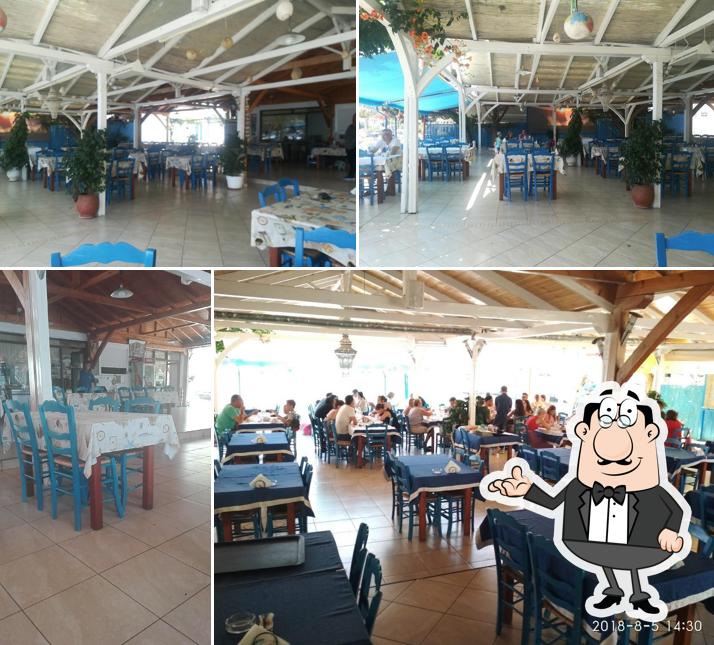 O Pefkos, Toroni - Restaurant reviews