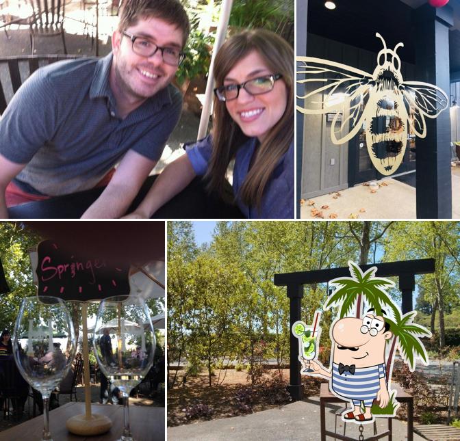 Honig Vineyard & Winery in Rutherford - Restaurant reviews