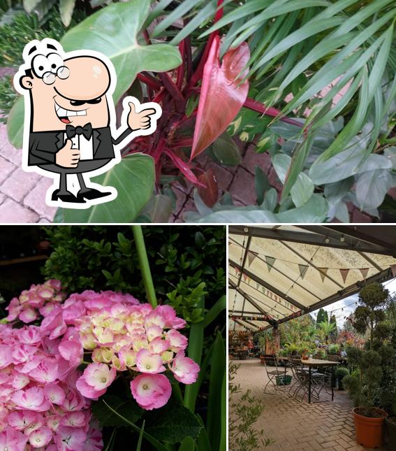 Leaf Creative in Huntley - Restaurant reviews